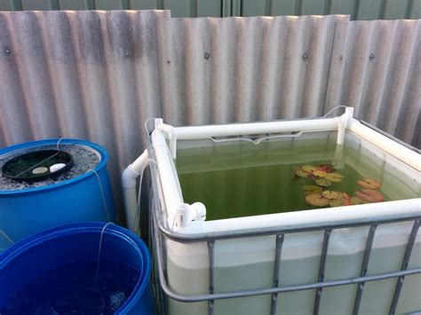 Radials Ibc Airlift Pond