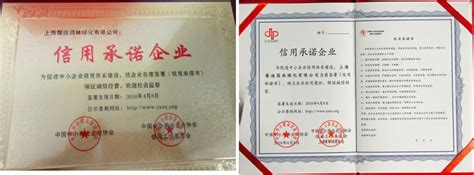 上海馨迪园林绿化有限公司