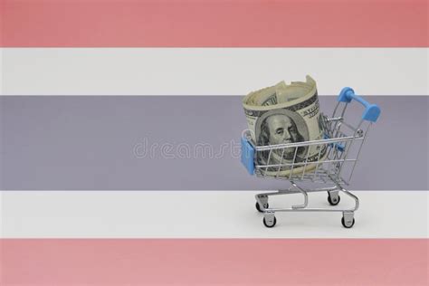 Metal Shopping Basket With Dollar Money Banknote On The National Flag