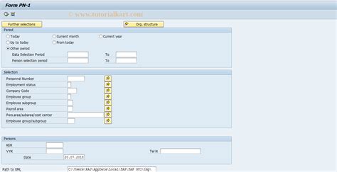 HRPAYUA PN SAP Tcode Form PN