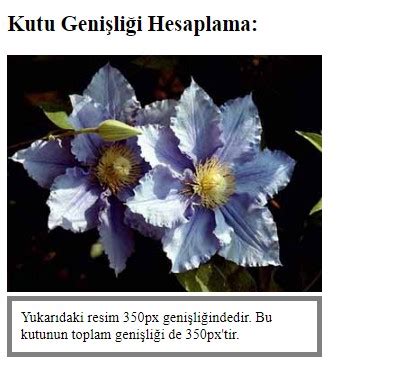 CSS Kutu Modeli Margin Border Padding Content Web Tasarım Programlama