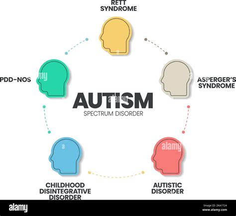 Infografik zur Darstellung von Autismus Spektrum Störungen ASD mit