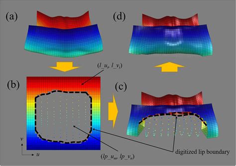 Lip Surface Mesh Generation Based On The Digitized Landmarks