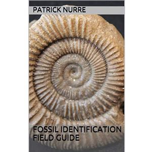 Fossil Identification Field Guide Kindle Edition Northwest Treasures