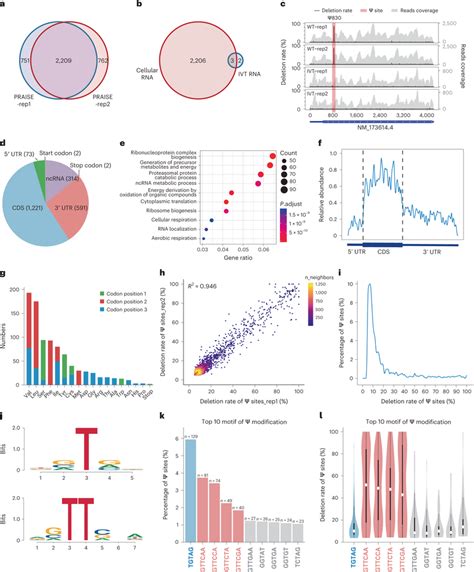 The Quantitative Landscape Of Ψ In The Human Transcriptome A Venn Download Scientific Diagram
