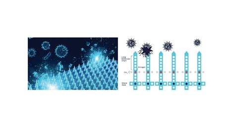 Surface Shield Disinfection Service Rentokil Indonesia