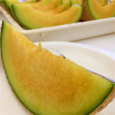 【メロン食べ放題の夢叶えます！】全国メロン狩り・食べ放題 特集！