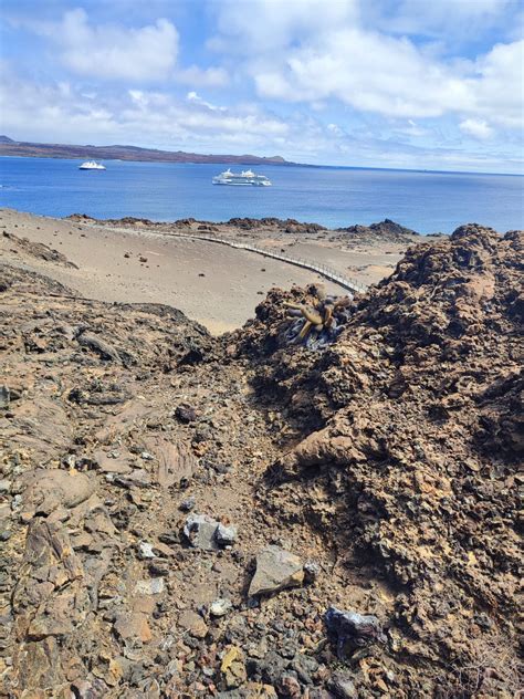 Besuch der Bartolomé Insel Galapagos Unsere Erfahrung