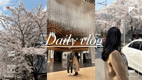 일상 Vlog 신혼부부 새댁브이로그 신라호텔 팔선 디올신상 디올신상쥬얼리 에뜨왈드방 벚꽃놀이 일상조각모음집 Youtube