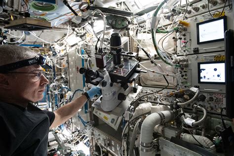 Astronaut Mark Vande Hei Works On The Cardinal Muscle Investigation Nasa