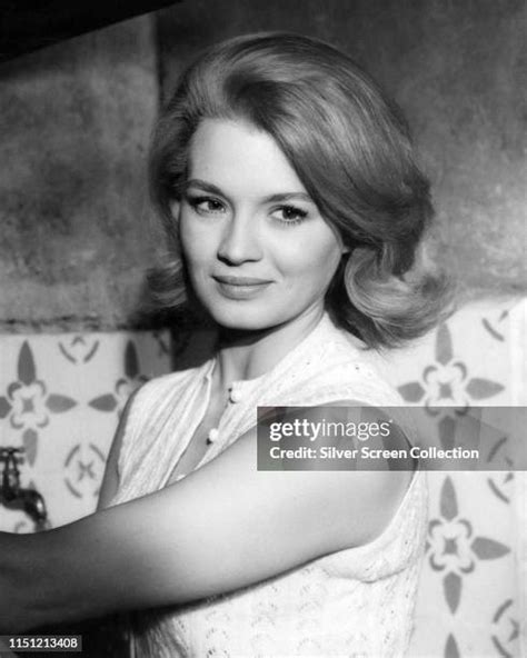 3315 Angie Dickinson Photos And High Res Pictures Getty Images