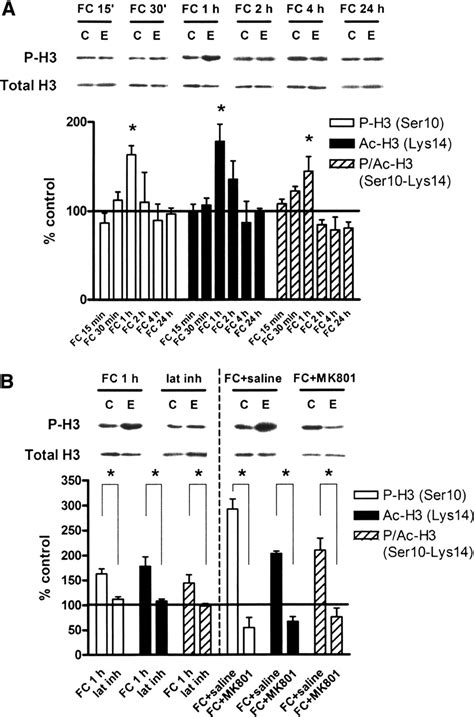 Erkmapk Regulates Hippocampal Histone Phosphorylation Following