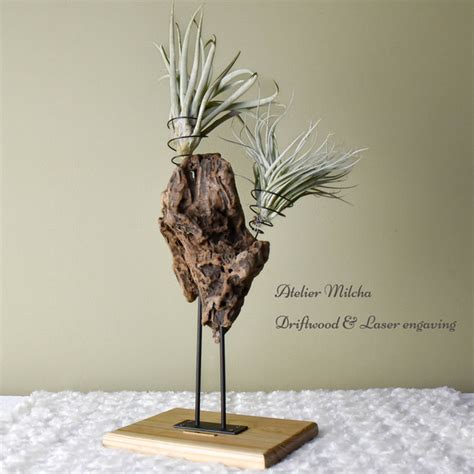 流木エアプランツスタンド（アイアン仕立て） 一輪挿し・花瓶・花器 Atelier Milcha 通販｜creemaクリーマ 17096917