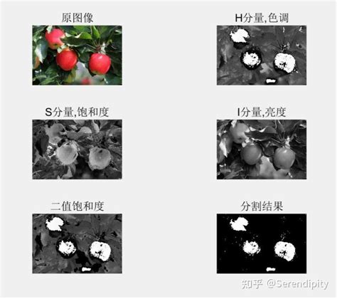 Matlab实现彩色图像分割的matlab代码 知乎