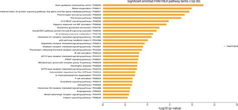 Differential Gene Signal Pathway Enrichment Analysis Diagram A KEGG