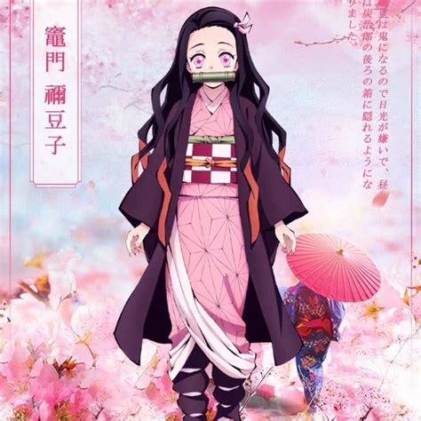 🍀kk百貨🍀鬼滅之刃cos 兄妹之絆 灶門 禰豆子 Cosplay服裝多肉君灶門炭治郎 蝦皮購物