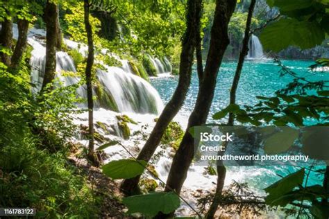 크로아티아 플리트비체 호수 국립공원의 맑고 푸른 색의 밀라노바크 호수로 자연 장벽을 따라 물이 흘러내려갑니다 0명에 대한 스톡 사진 및 기타 이미지 Istock