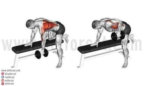 Dumbbell Rows: How To, Muscles Worked, & Variations – SET FOR SET