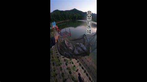 鲢鳙钓的好好地，忽然遇上一群暴躁的翘嘴！我能忍？原来钓鱼才是抖音运动顶流 钓鱼的乐趣只有钓鱼人懂 出发吧伟大的钓手 2023dou来
