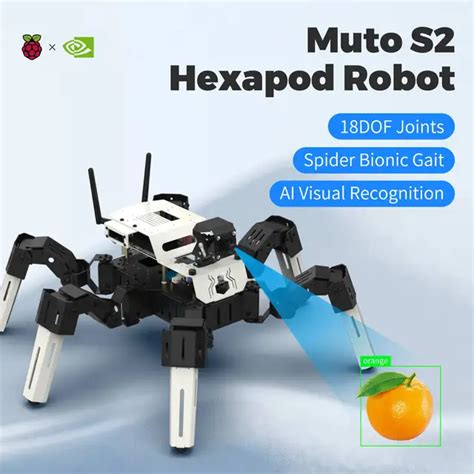Spider Robot Bionic