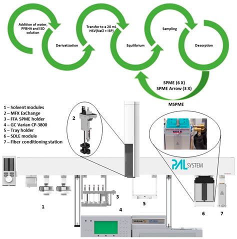 A New Perspective On Spme And Spme Arrow Formaldehyde Determination By
