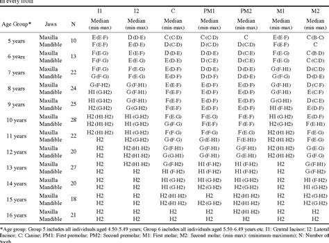 Tooth Development Chart A Visual Reference Of Charts Chart Master