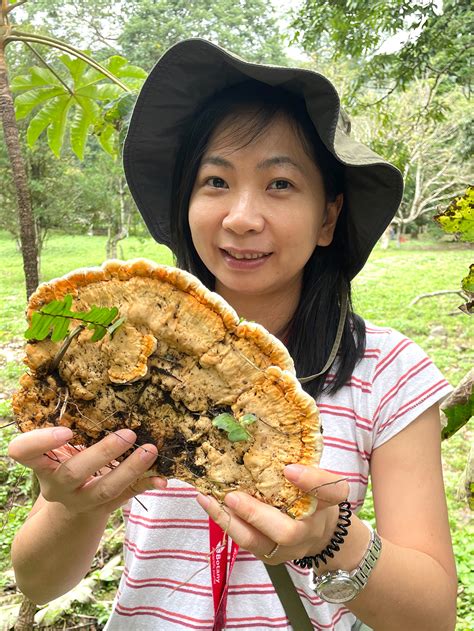 Ko Hsuan Chen Mycological Sociey Of America