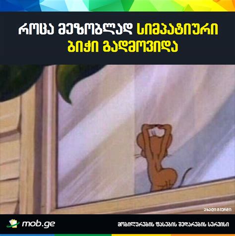 ახალი გვერდი 👉 Mob Ge მობილურების ფასების