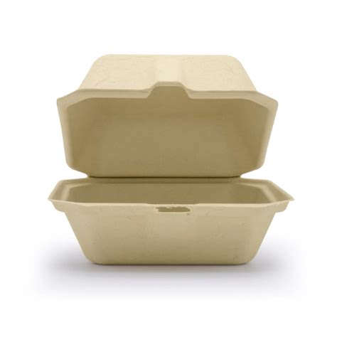 Discover The Eco Friendly Future With Biodegradable Clamshell Packaging
