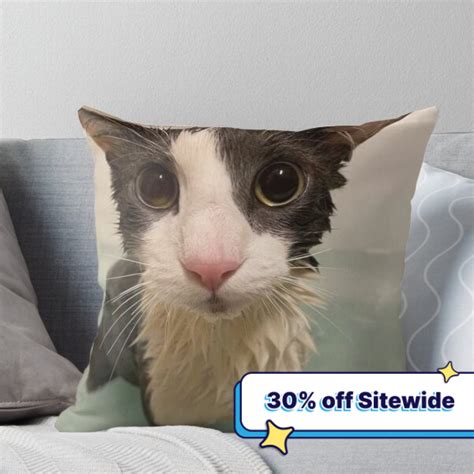 Soggy Wet Cat Meme Throw Pillow For Sale By Shirtshoppe In 2024 Cat