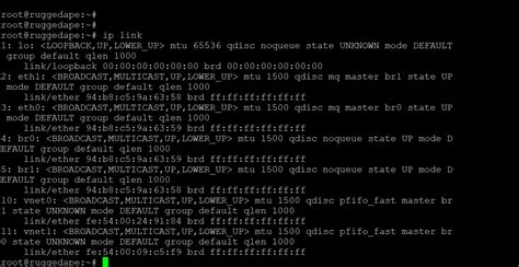 Bridge Interface Physical And Kvm Interface Shows Up After Unplugged