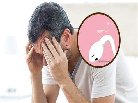 Diet And Male Fertility Foods That Affect The Sperm Count