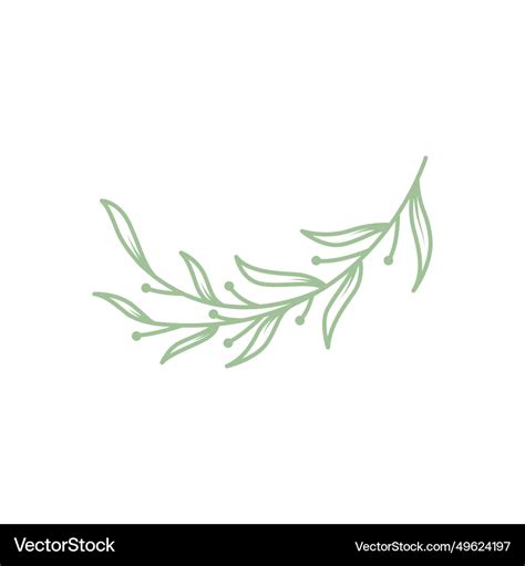 Leaf Olive Oil Logo Design Image Royalty Free Vector Image
