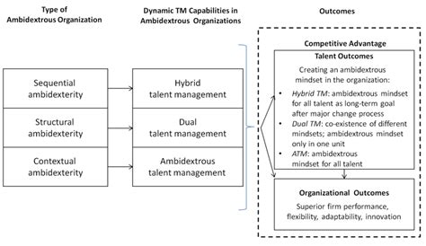 Conceptual Framework Linking Ambidexterity And Dynamic Tm Capabilities In Download Scientific