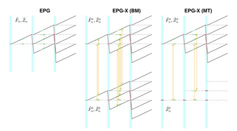 Left overview of classic EPG algorithm í µí states are