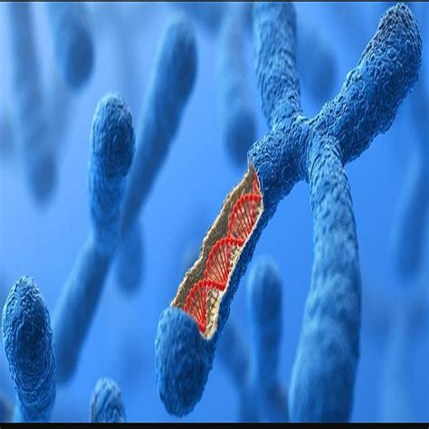 Karyotyping Canada Smart Tech