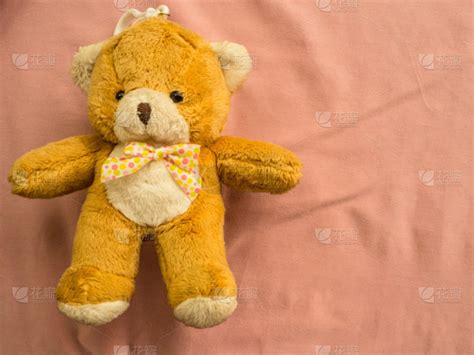熊黄色粉色纺织品小熊幼兽身体受伤褐色水平画幅可爱的