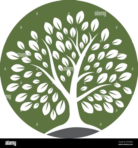 Tree Symbol Vector Illustration Design Stock Vector Image And Art Alamy