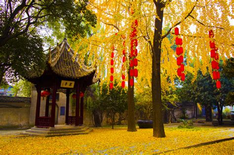 会员免费襄阳米公祠 广州门票 国汇优游