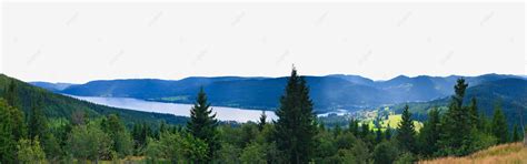 Sumer Landscape Hill Weather Pasture Flowers Horizon Meadow PNG