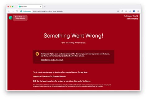 Error Warning Shows Up Randomly Although Tor Browser Seems To Be