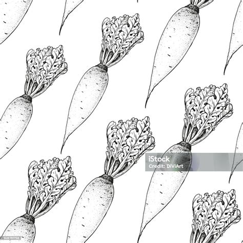 Daikon Radish Seamless Pattern Hand Drawn Background Vector