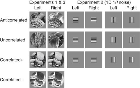 Perceived Direction Of Motion Determined By Adaptation To Static Binocular Images Current Biology