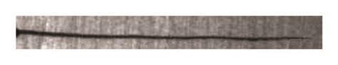 Result Images In The Process Of Crack Extraction A Original Crack