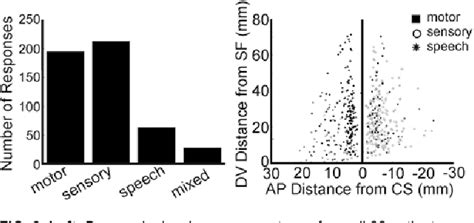 Figure 2 From A Probabilistic Map Of The Human Ventral Sensorimotor