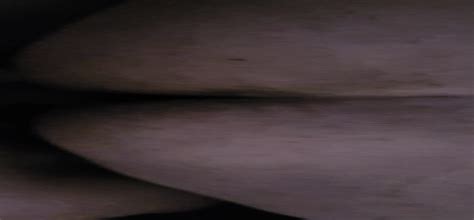 Aass Pussy Hardworking