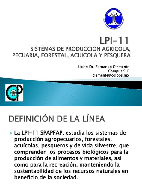 Sistema De Produccion Agricola Pdf Pdf Los Bosques Grupo De Trabajo