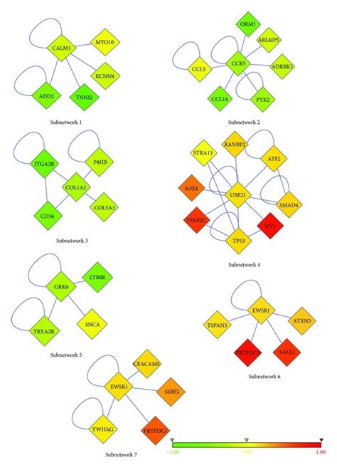 First Seven Of The Most Frequent Subnetworks Nodes Represent Proteins