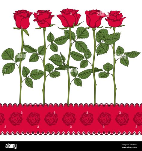 Set Of Color Illustrations With Red Roses Isolated Vector Objects On White Background Stock