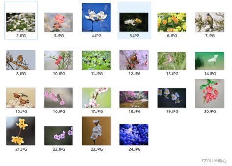 分享简单实用的技巧，修改文件扩展名大小写的操作步骤怎样将文件名后缀小写改大写 Csdn博客